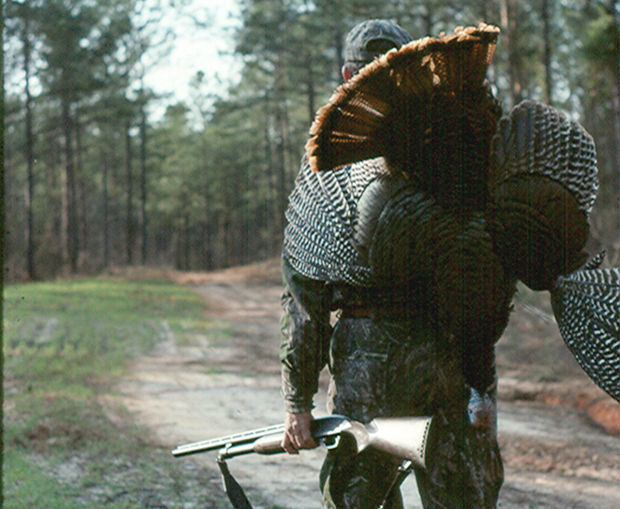 Spring gobbler season has a history; Our region one of the best ...